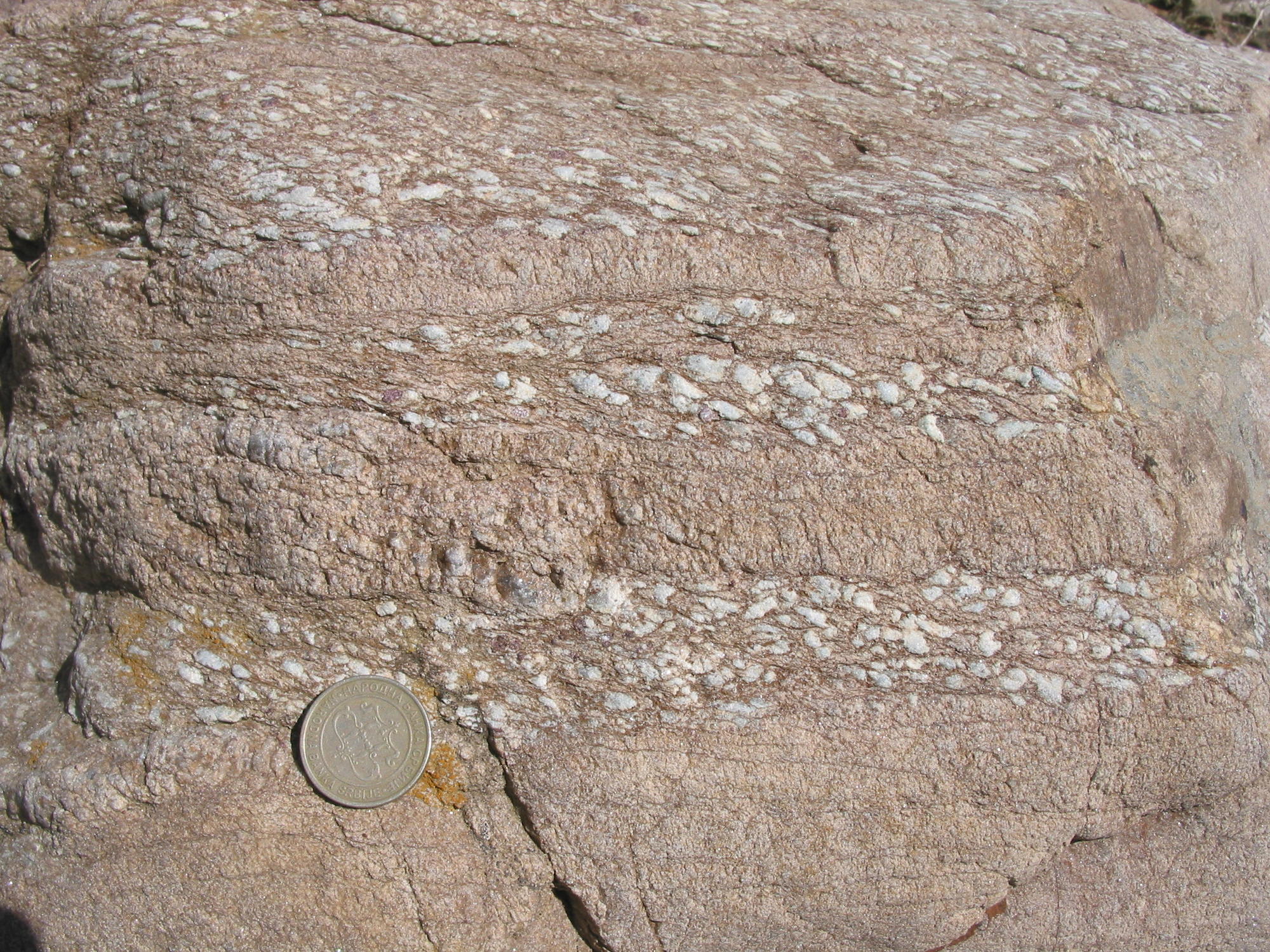 Tectonics • Tectonics and Sedimentary Systems • Department of Earth ...