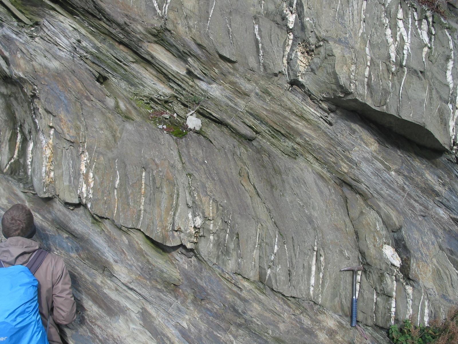 Tectonics • Tectonics and Sedimentary Systems • Department of Earth ...