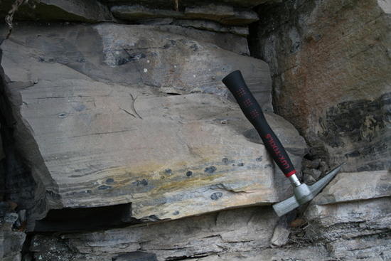 outcrop • The Precambrian-Cambrian Ecosphere (R)evolution: Insights ...