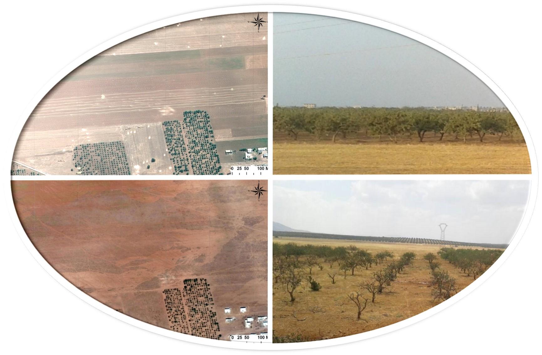 1 Introduction to the GEE • Geo-IT • Department of Earth Sciences