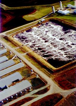 Lagoons • Integrated Water Resource Management - from traditional ...